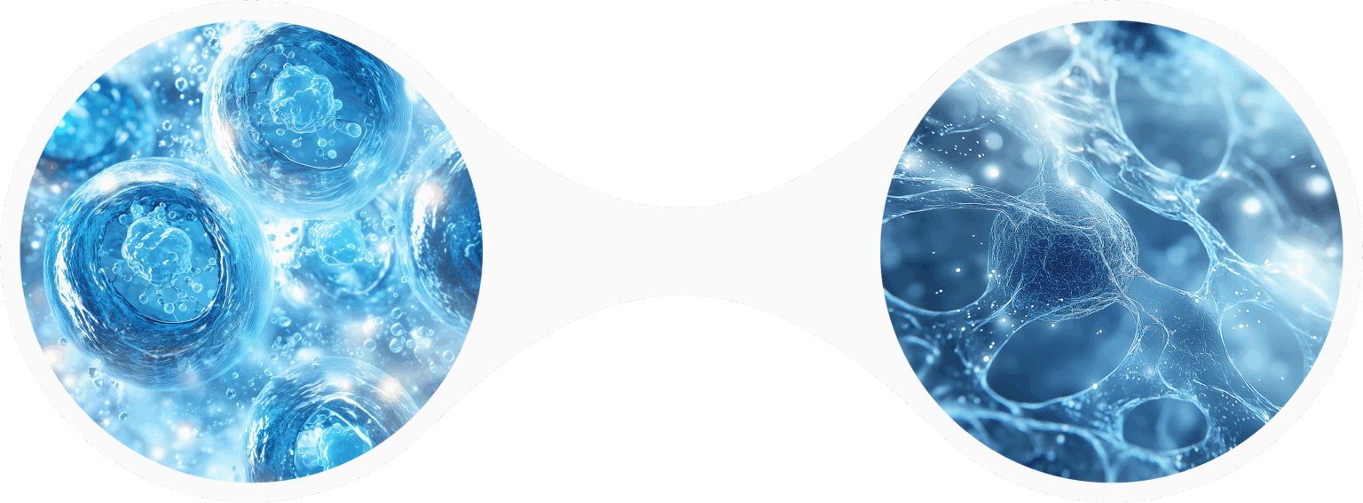 About Stem Cell Therapy – stemcell-bangkok.com